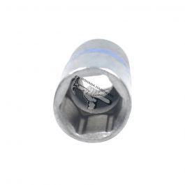 17MM BOX SPANNER SOCKET / SHORT