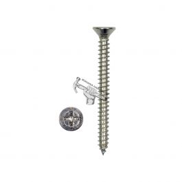 2" X 10" SELF TAPPING SCREW PH